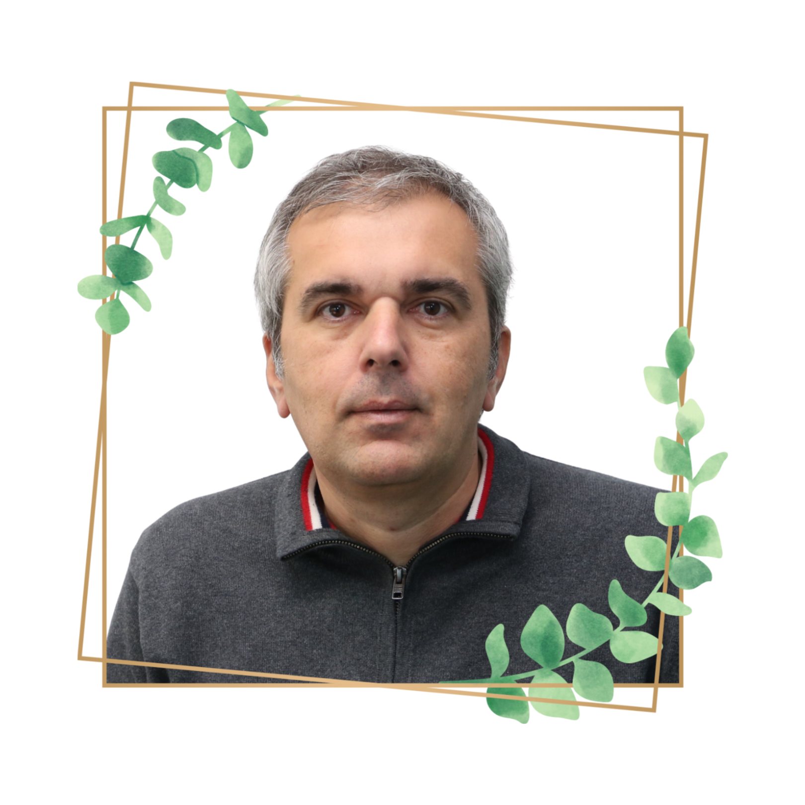 FSC Membership | Forest Stewardship Council™